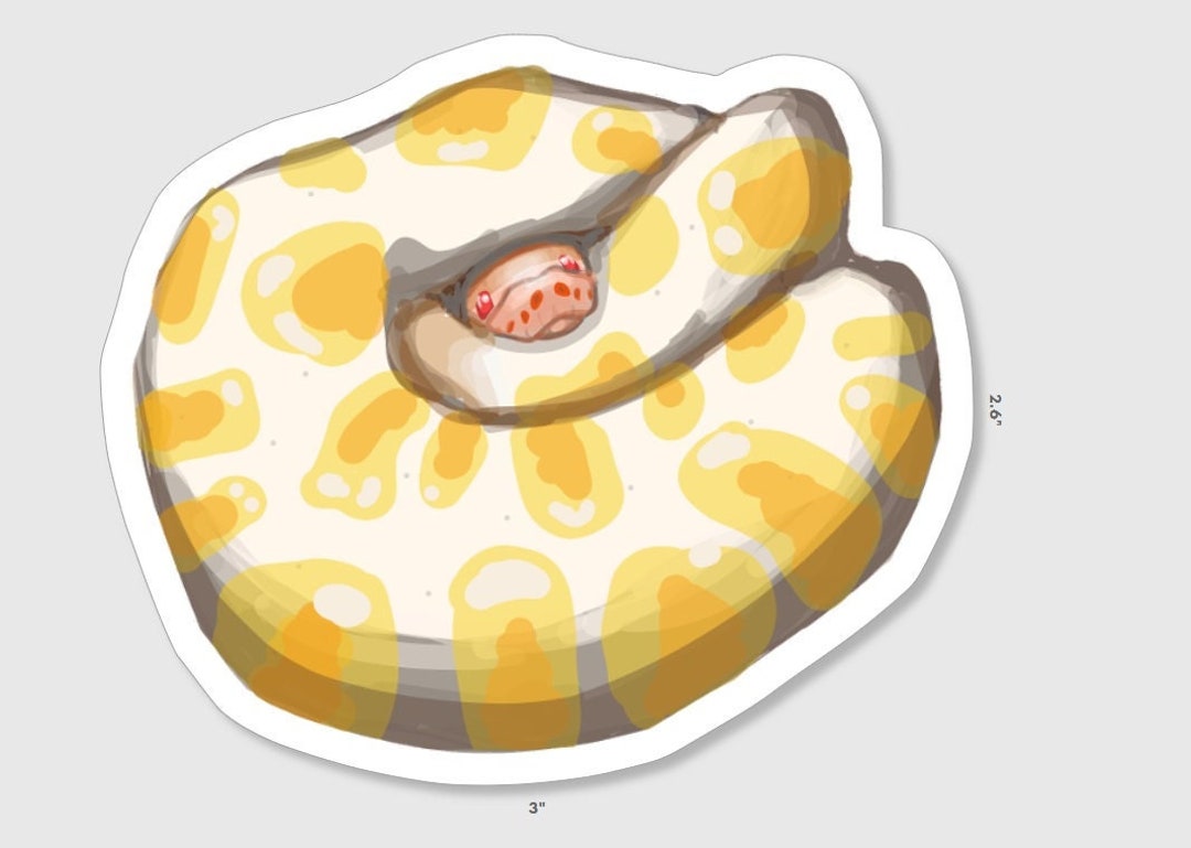Albino Ball Python Sticker - Etsy