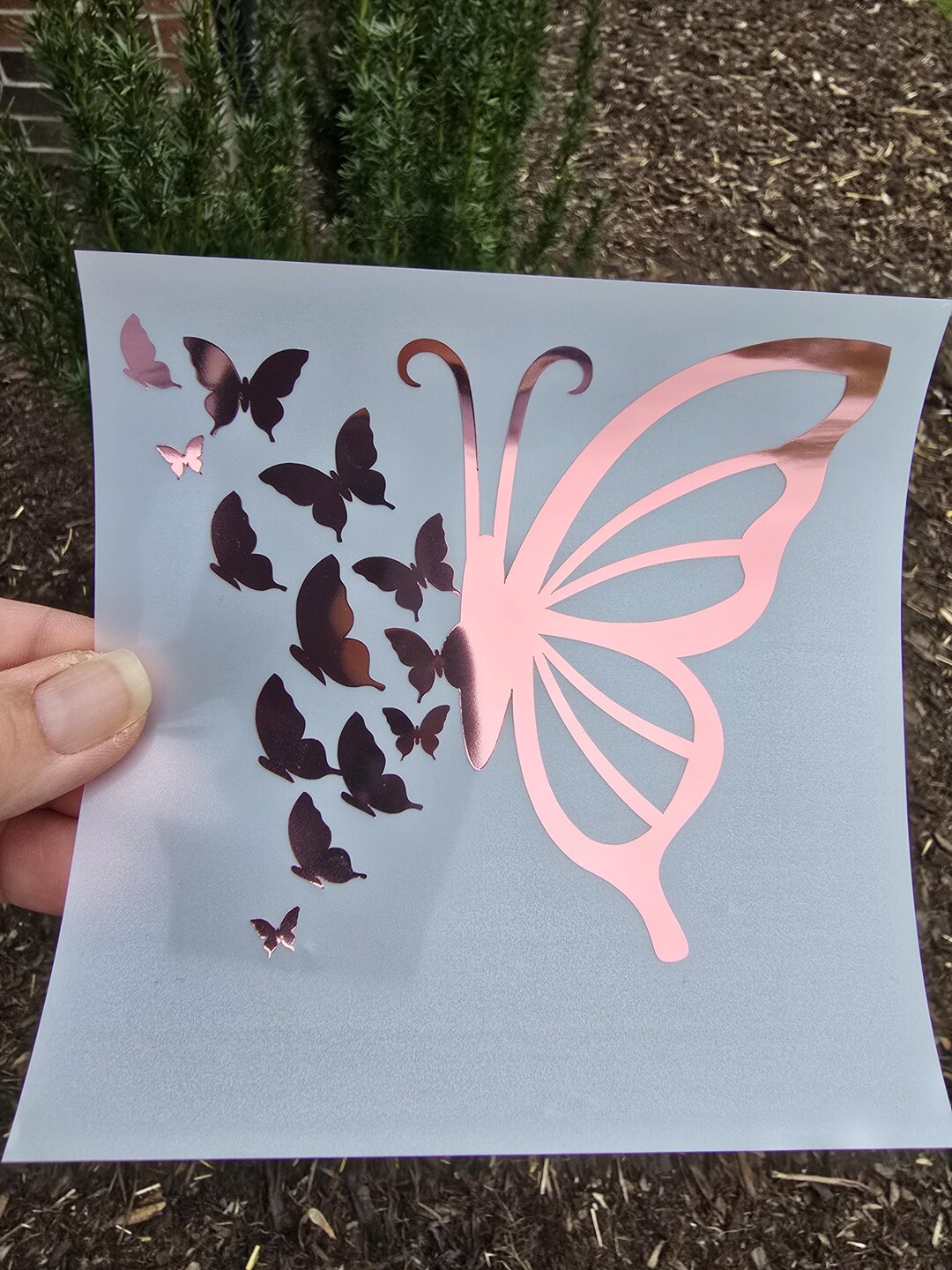 Butterfly Decal - Permanent - Etsy