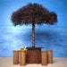 Illuminated Tropical Miniature Beach Bar Table Set for Your Dollhouse ...