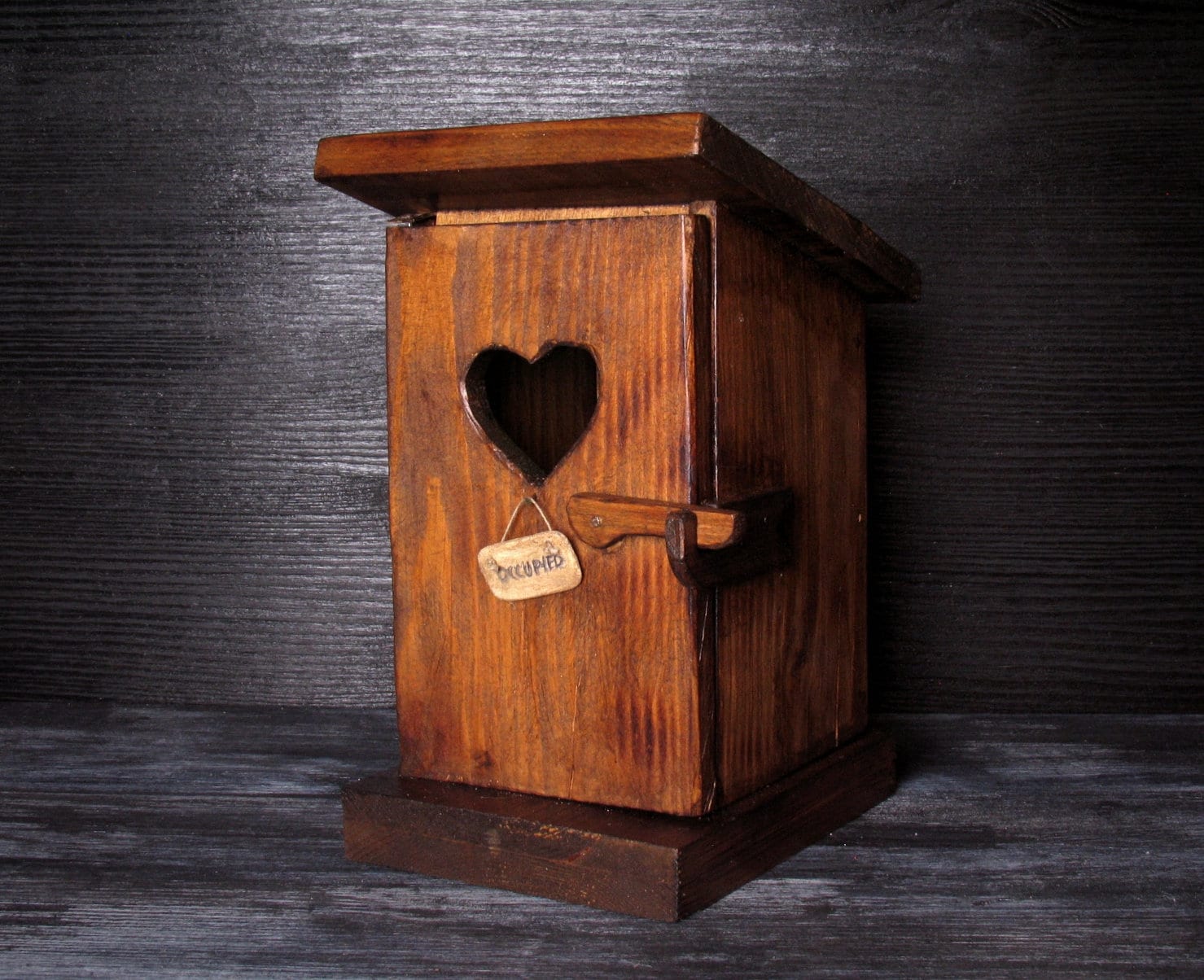Illuminated Miniature Outhouse for Halloween | Etsy