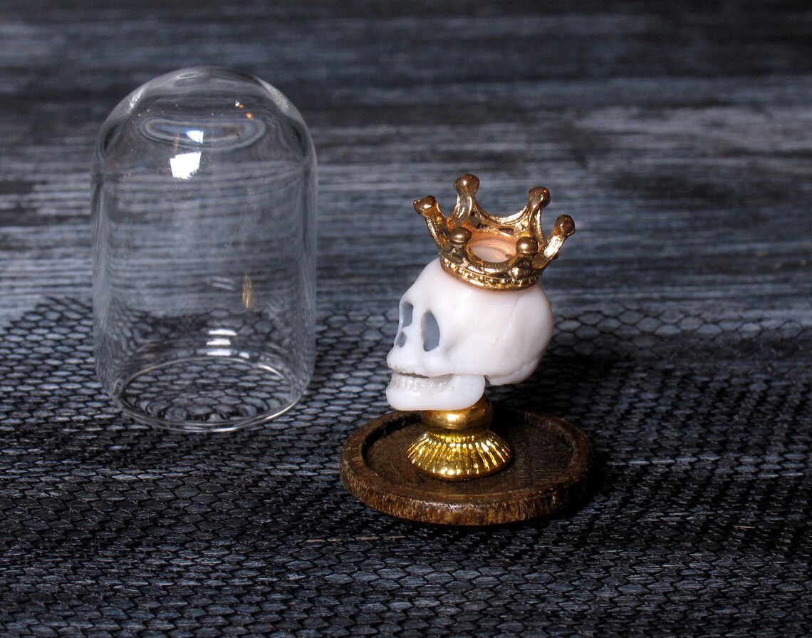 Miniature Skull under Glass for Your Dollhouse | Etsy