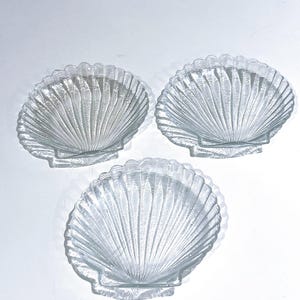 Three Clear Glass Clam Shell Dishes - Etsy