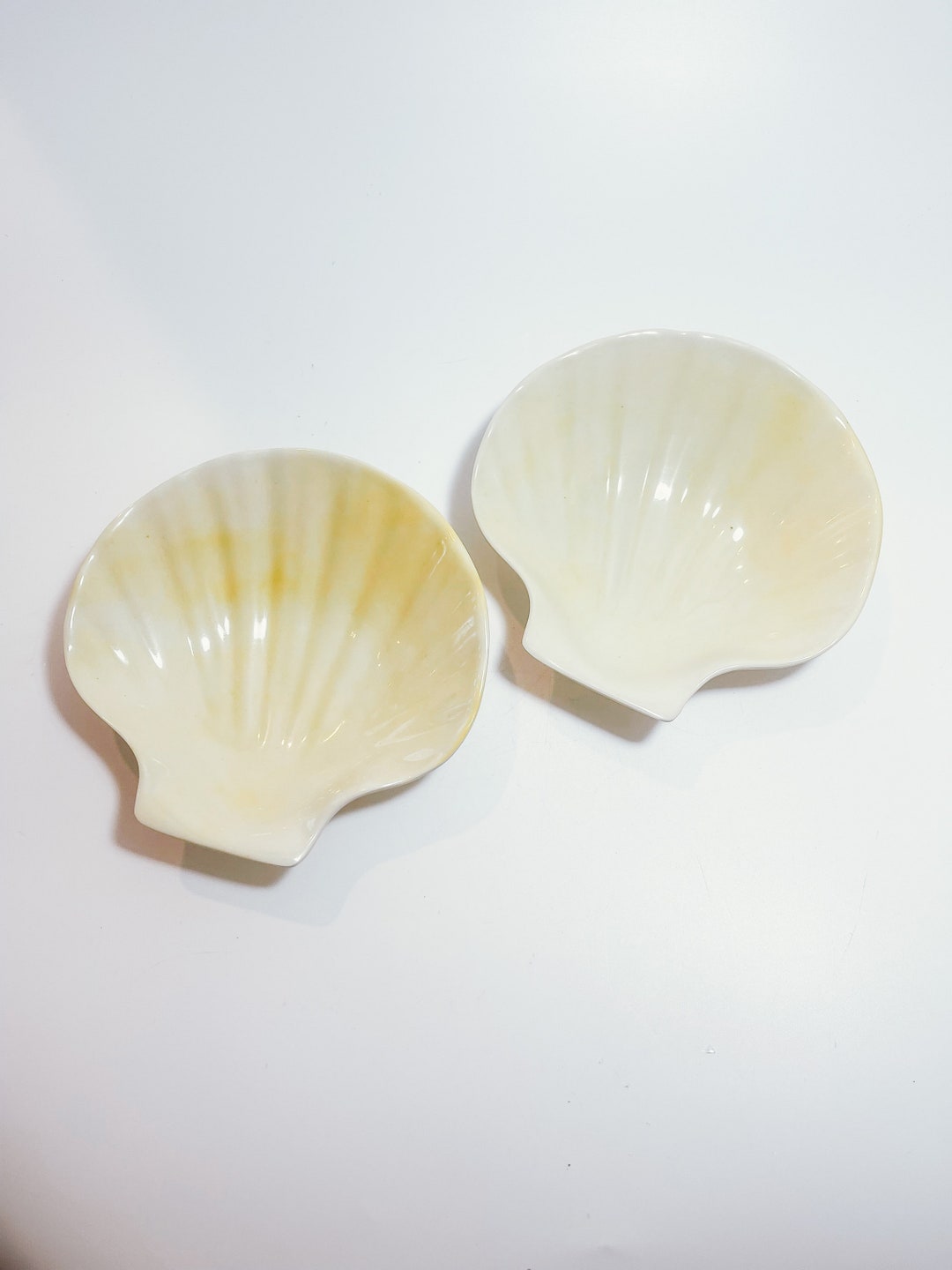 Two Plastic Clam Shell Dishes - Etsy