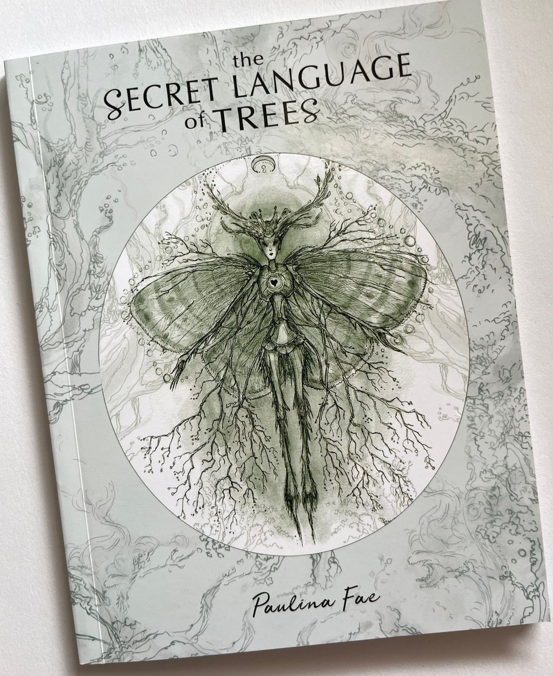 The Secret Language of Trees - Signed Book - Graphic Novella - Nature ...