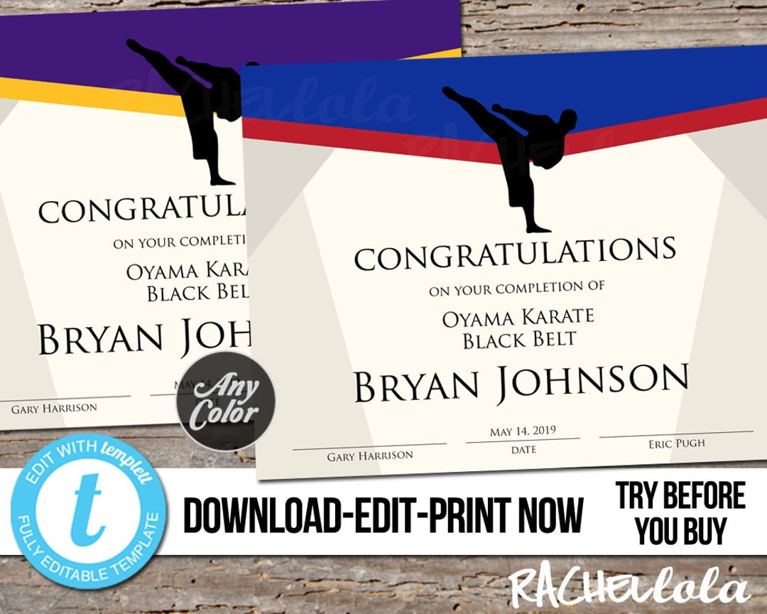 Editable Karate Award Certificate, Custom Printable Template, End of ...