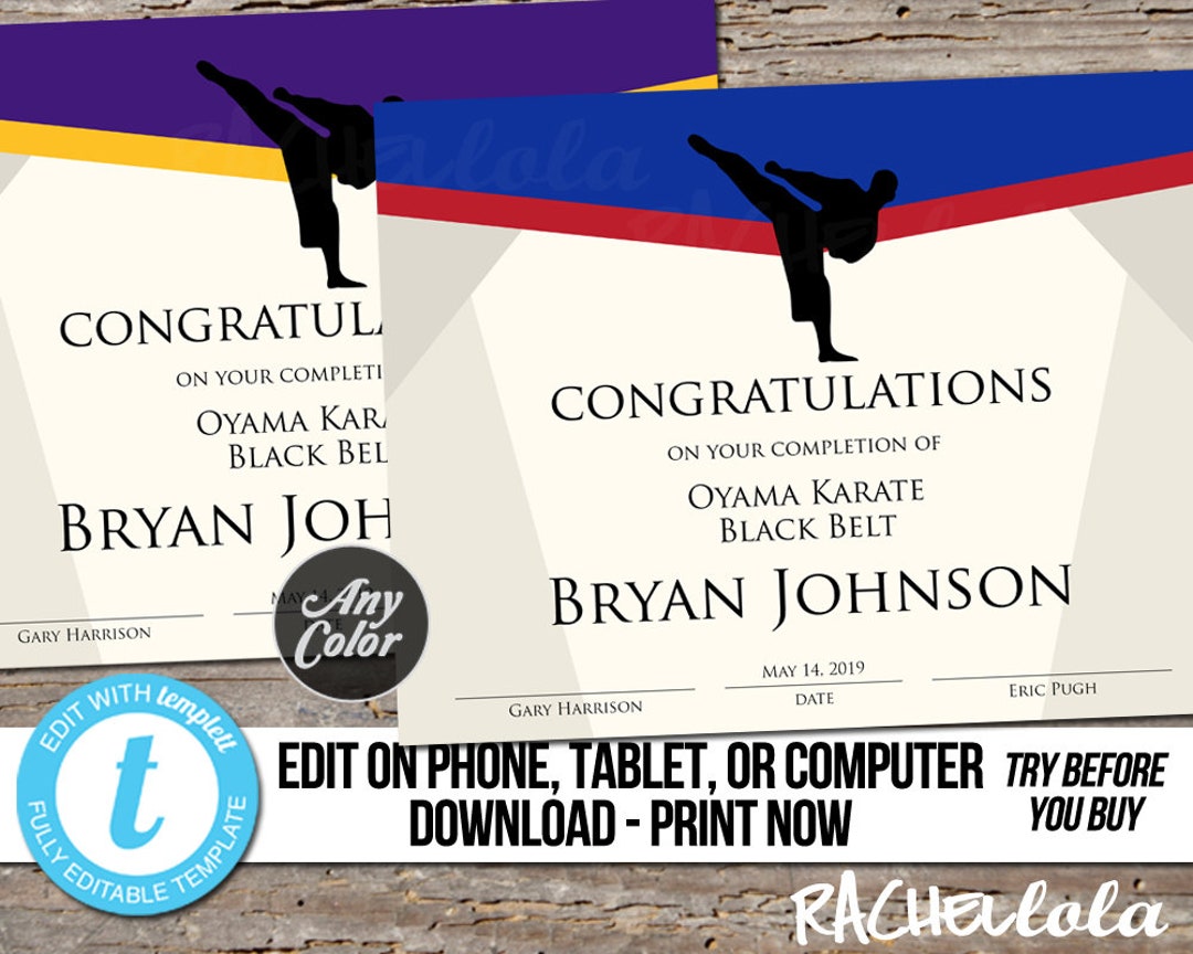 Editable Karate Award Certificate, Custom Printable Template, End of ...