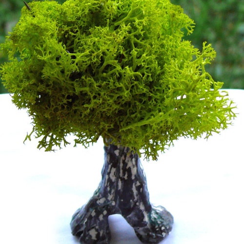 Fairy Garden Miniature Tree With Face and Staff - Etsy