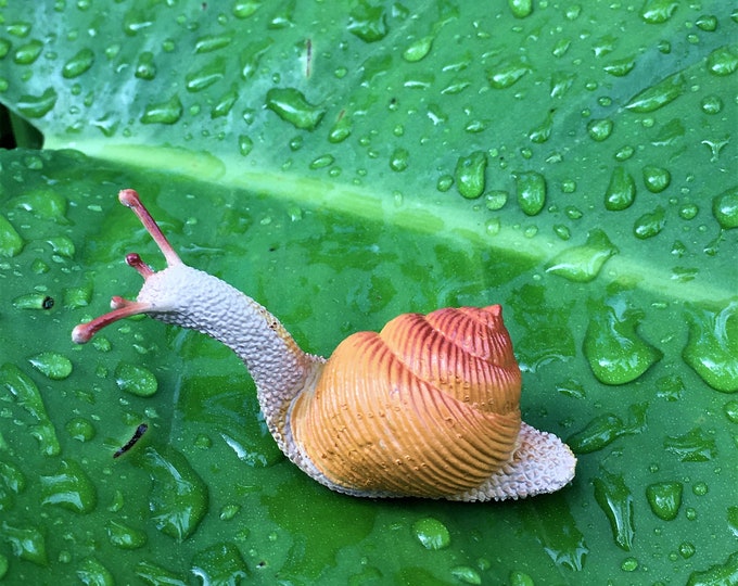 Fairy Garden Miniature Snail One Snail Figurine Fairy Garden - Etsy