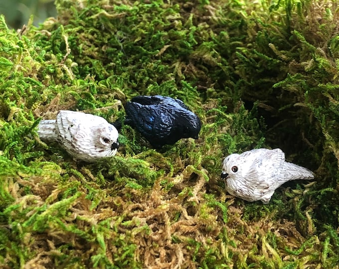 Hand Painted Miniature White or Black Bird, Raven, Miniature Crows and ...