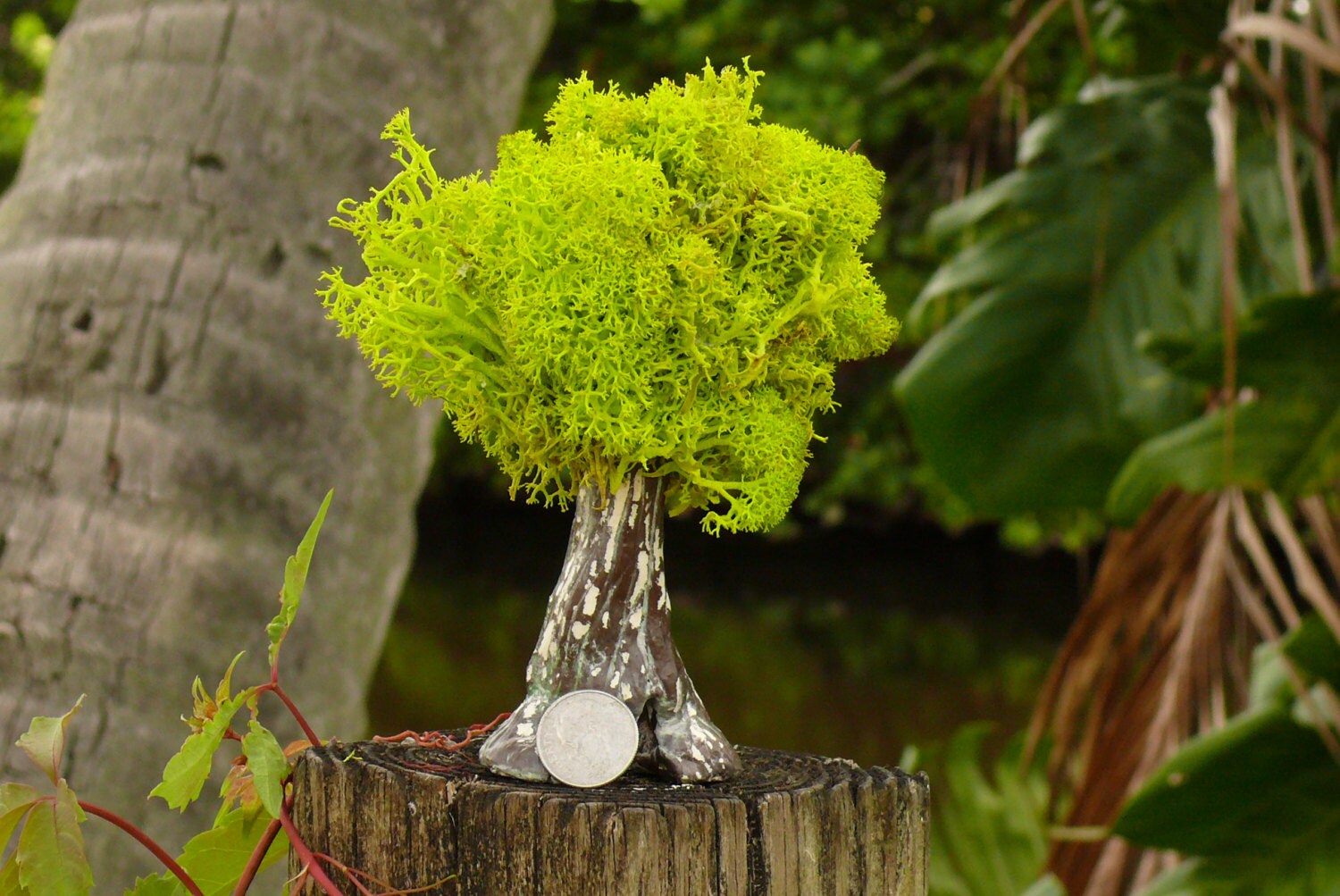Handmade Fairy Garden Tree Miniature Tree | Etsy