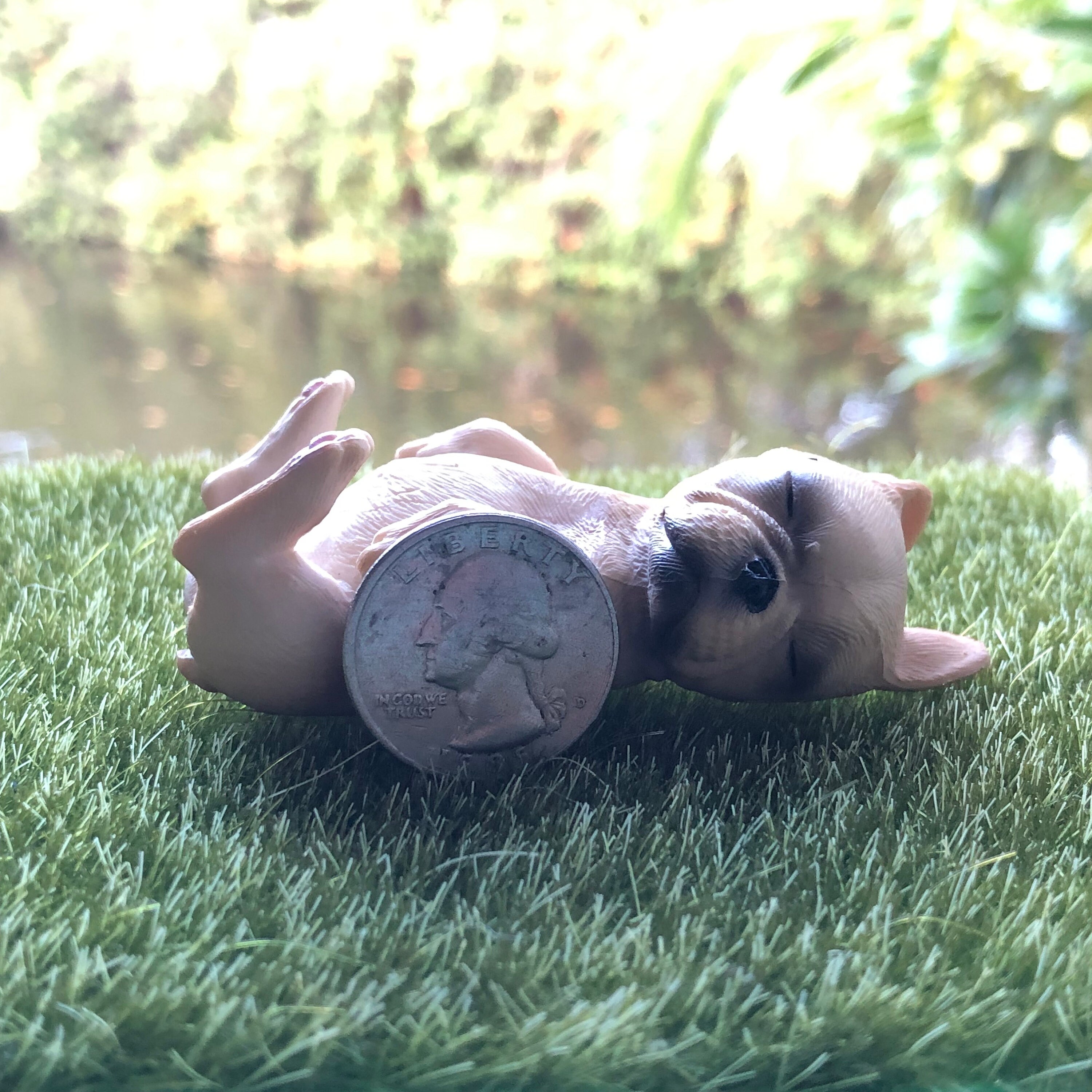 Anatomically Correct Female Dog, Miniature Dog, Fairy Garden or ...