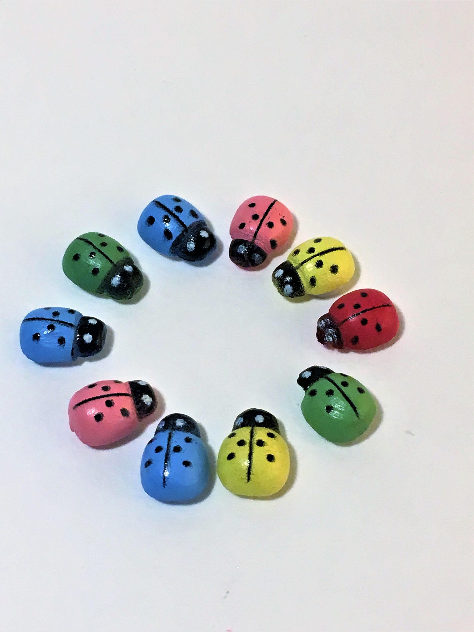5 Miniature Ladybugs Colorful Ladybugs Ladybirds Fairy - Etsy