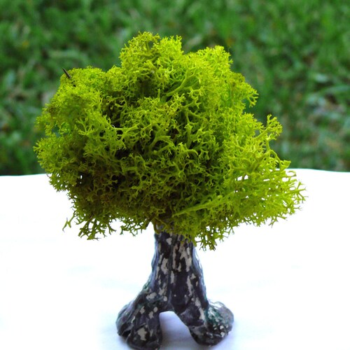 Fairy Garden Miniature Tree With Face and Staff - Etsy