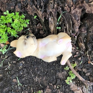 Anatomically Correct Female Dog, Miniature Dog, Fairy Garden or ...
