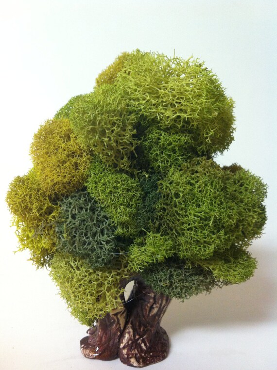 Miniature Tree Fairy Garden Accessory | Etsy