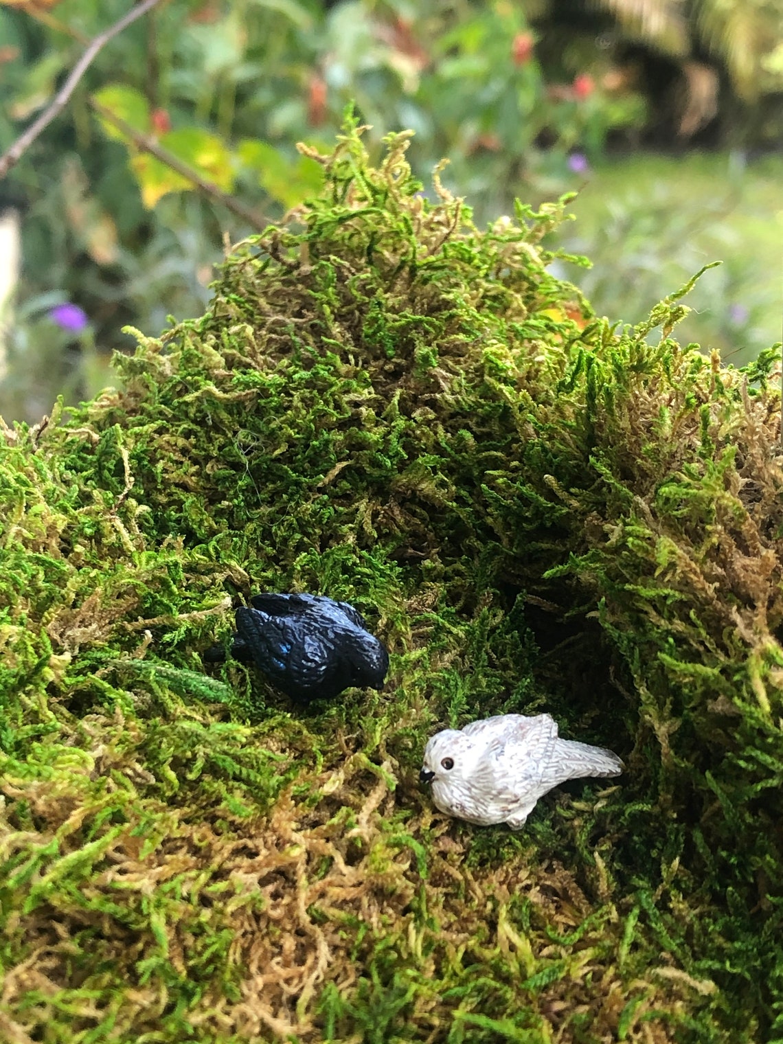 Hand Painted Miniature White or Black Bird Raven Miniature - Etsy