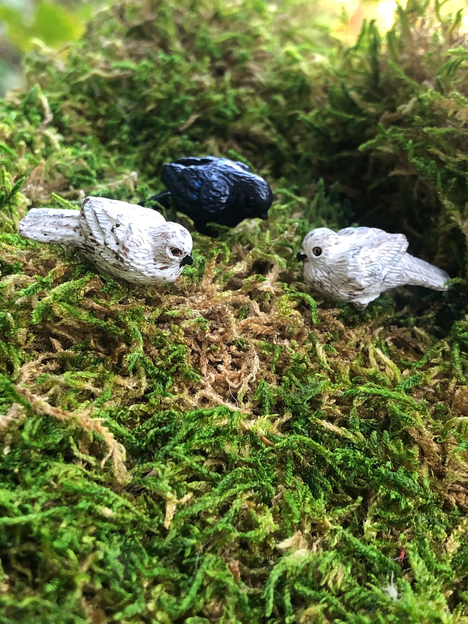 Hand Painted Miniature White or Black Bird Raven Miniature | Etsy