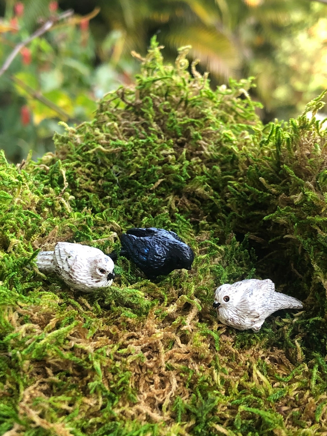 Hand Painted Miniature White or Black Bird, Raven, Miniature Crows and ...