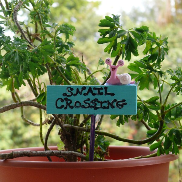 Miniature Garden - Etsy