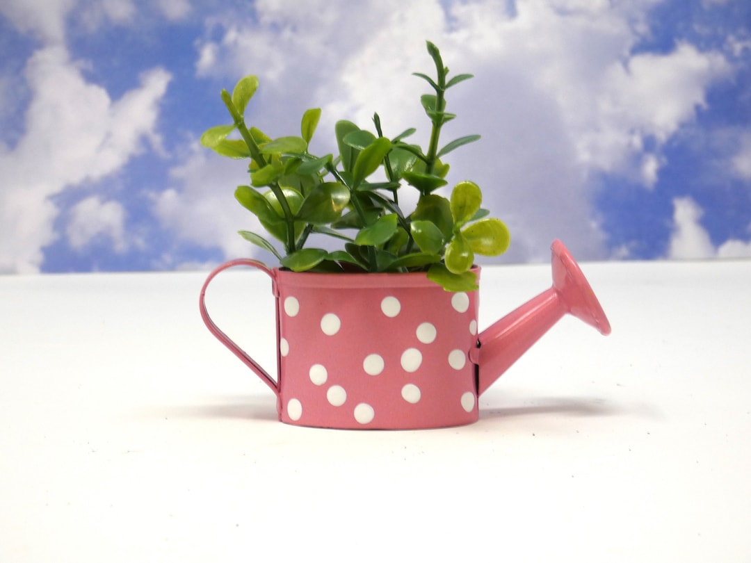 Choose Pink or Green Small Watering Can for Your Small Garden ...