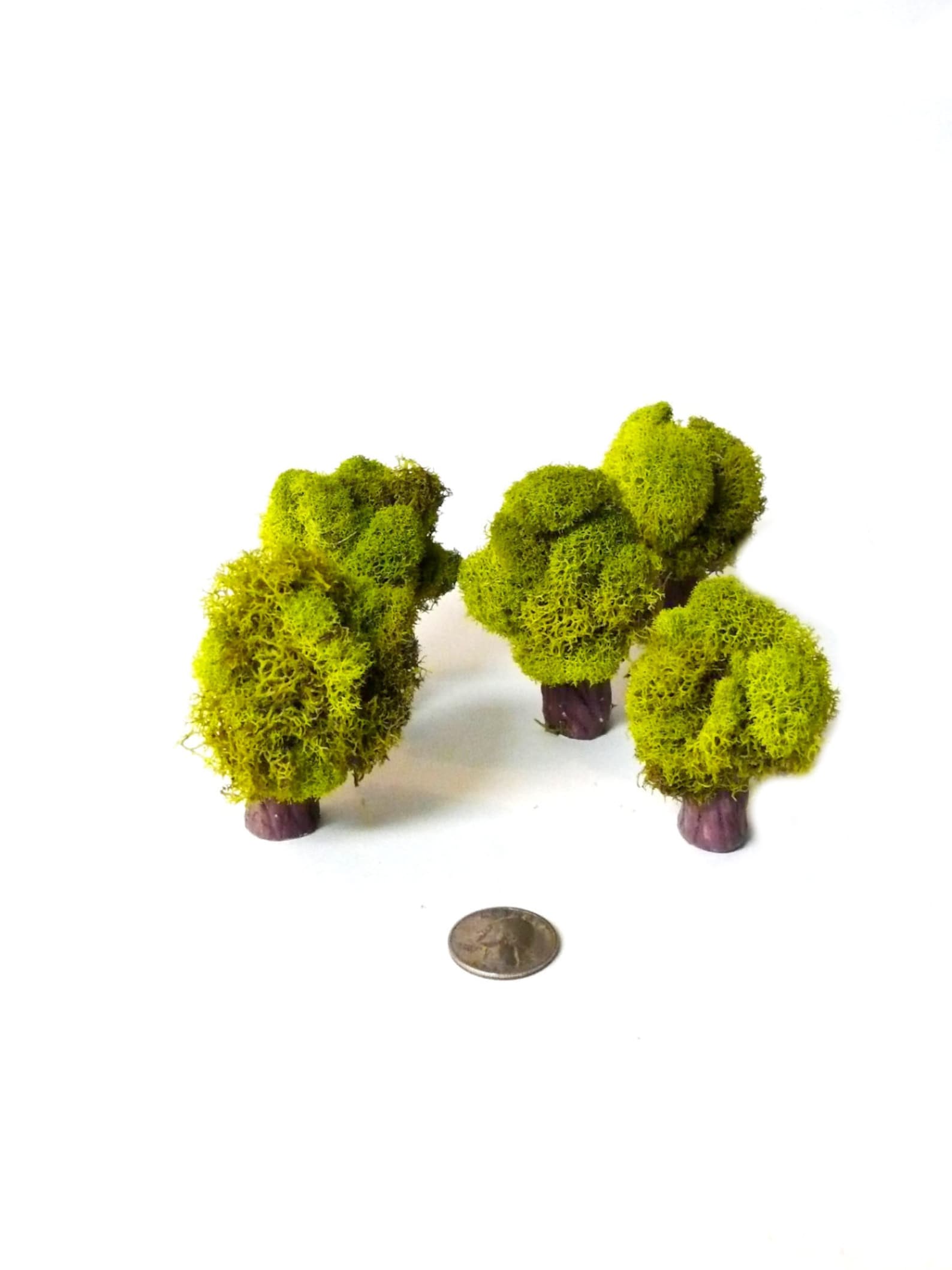 5 Miniature Trees, Fairy Garden Accessories, Woodland Trees, Terrarium ...