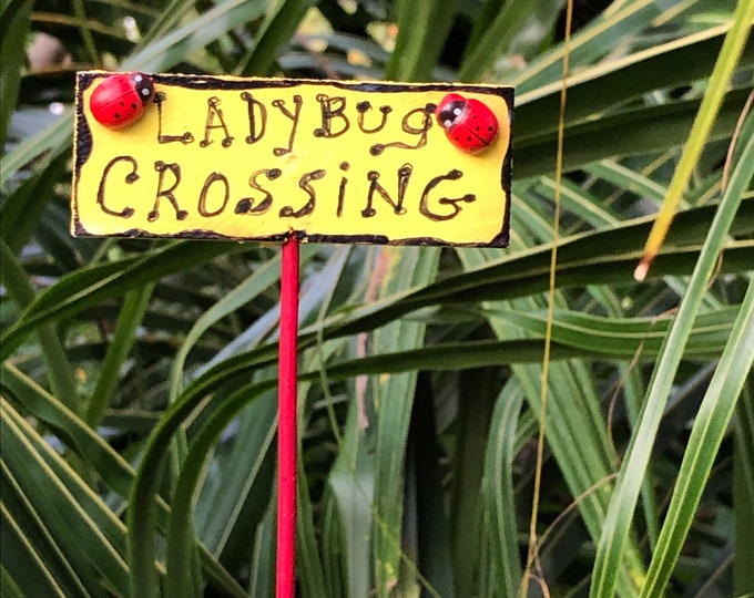 Ladybug Crossing Sign, Fairy Garden Miniatures, Mini Sign Decoration ...
