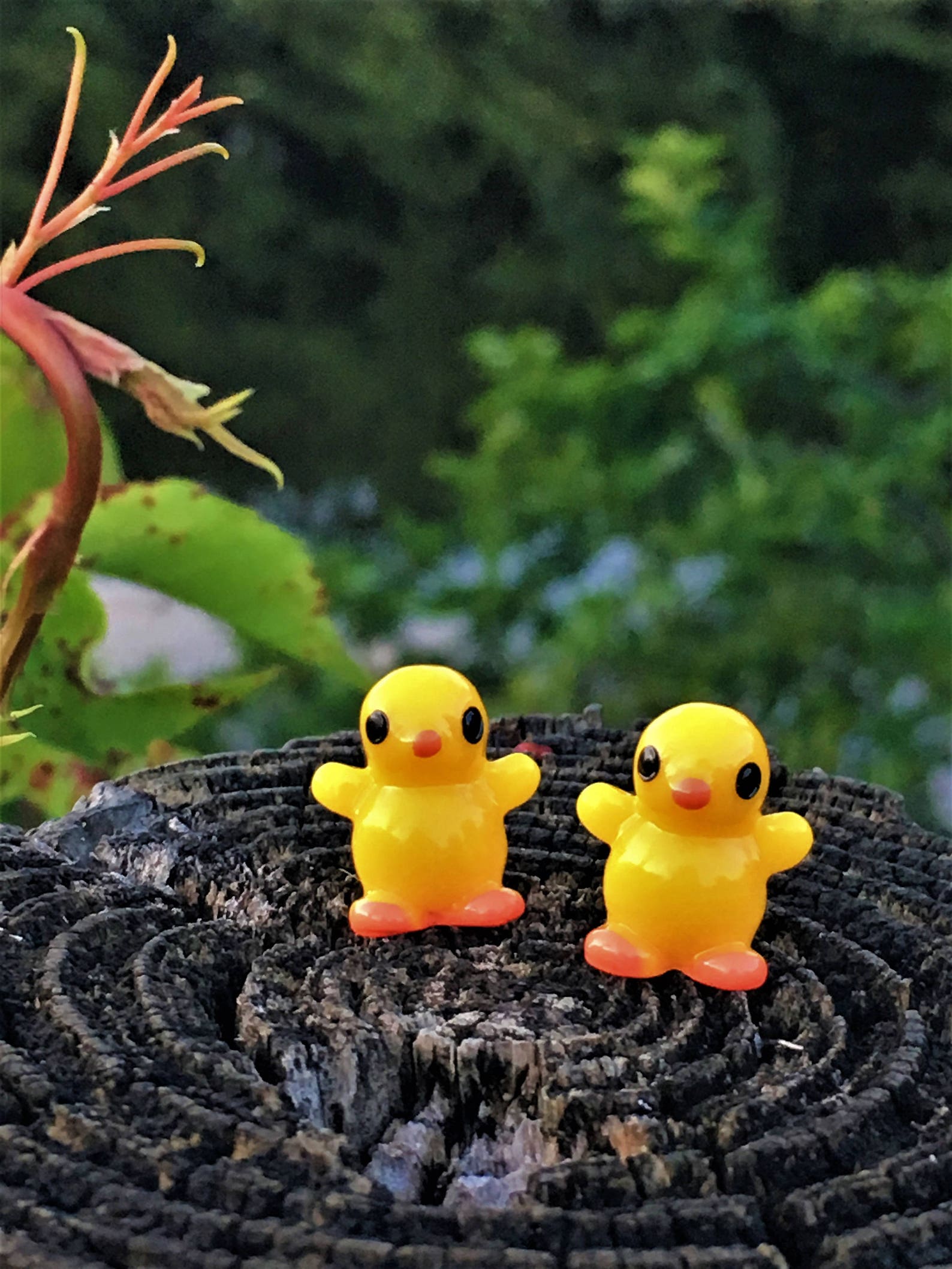 Two Fairy Garden Tiny Duck Figurines Cute Micro Ducks Micro | Etsy