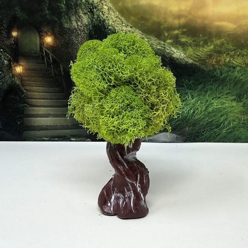 Crooked Tree - Etsy