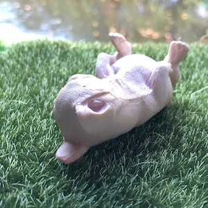 Anatomically Correct Female Dog, Miniature Dog, Fairy Garden or ...