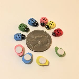 5 Miniature Ladybugs, Colorful Ladybugs, Ladybirds, Fairy Miniatures - Etsy