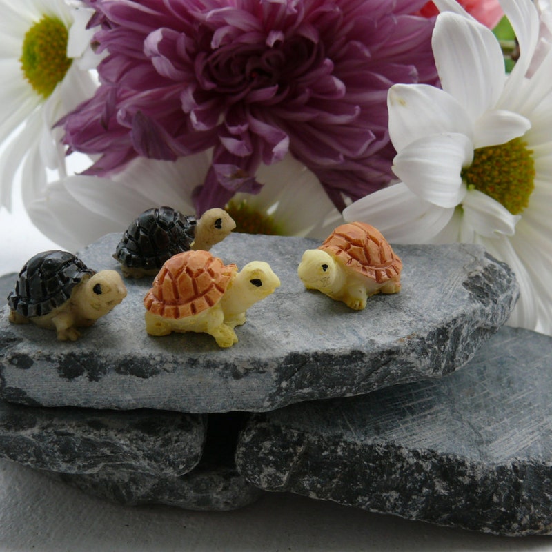 Miniature Turtles - Etsy