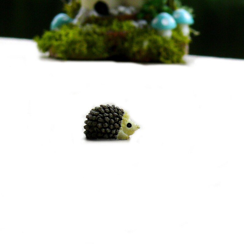 Hedgehog Accessories - Etsy