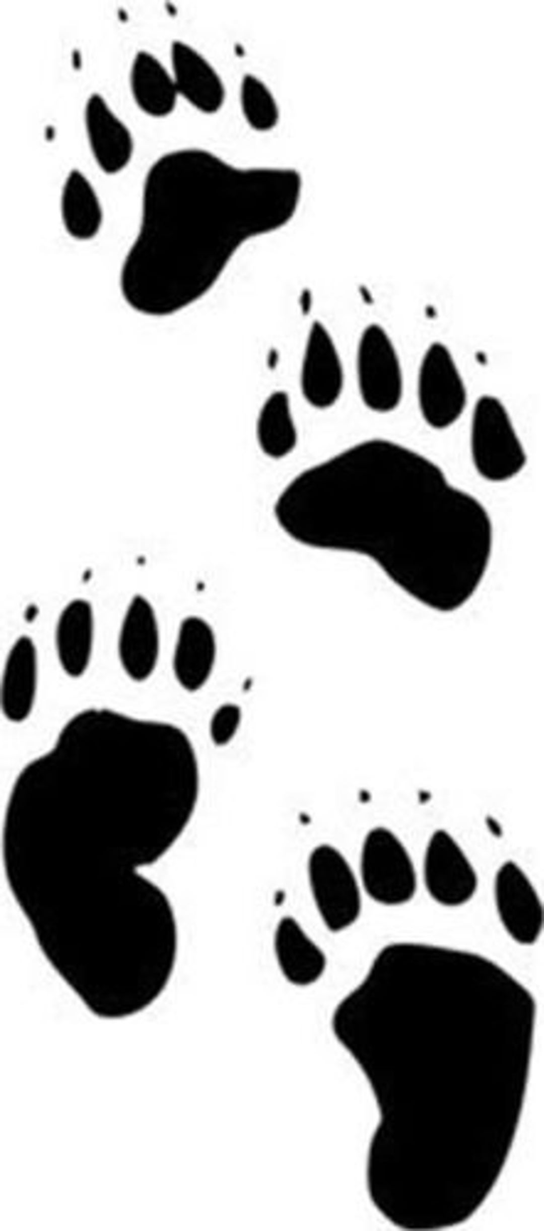 12-count Bear Paw Print Vinyl Wall Decal - Etsy