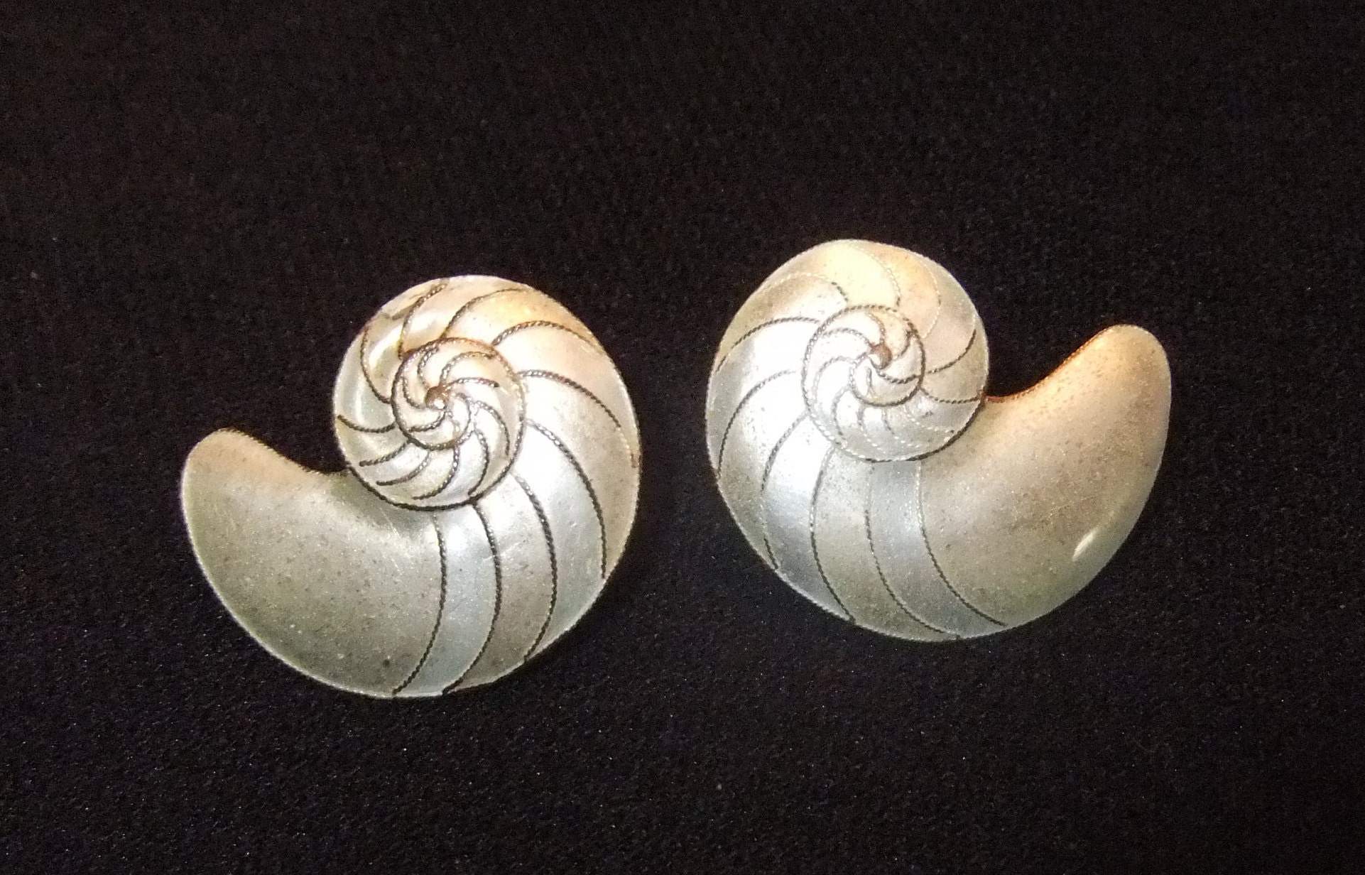 Cloisonné Enamel Nautilus Shell Earrings in White and Ivory, Gold ...