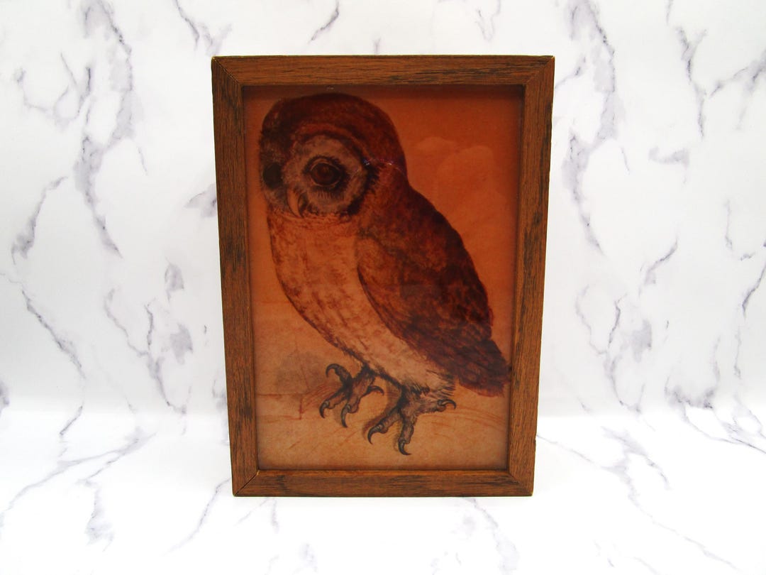 Vintage the Little Owl by Albrecht Durer Wood Music Jewelry Box RARE - Etsy