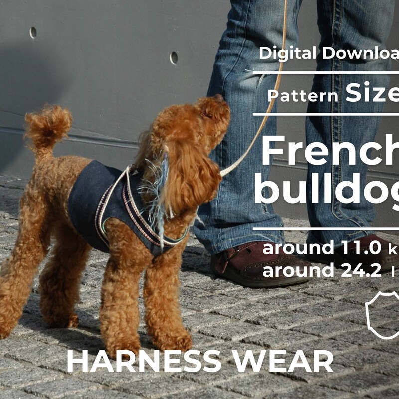 Step in Dog Harness Pattern - Etsy