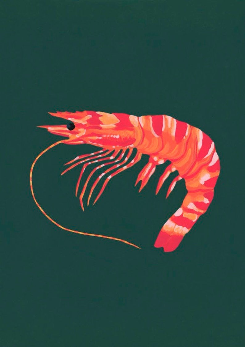Prawn Print Card - Etsy