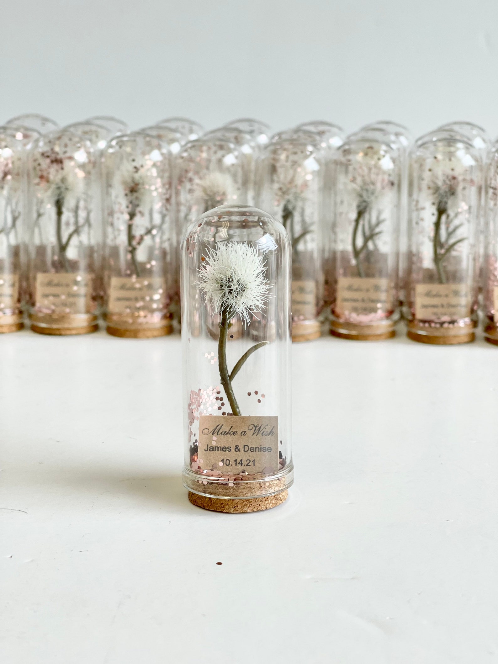 Dandelion Wedding Favors for Guests, Whish Flower Party Favors ...