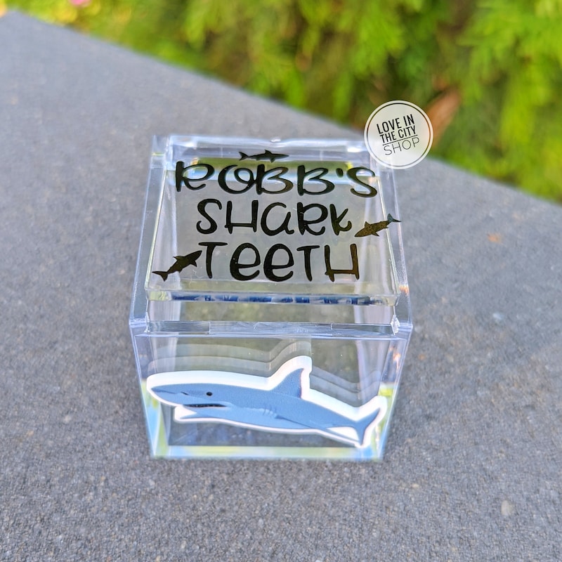 Shark Tooth Display - Etsy