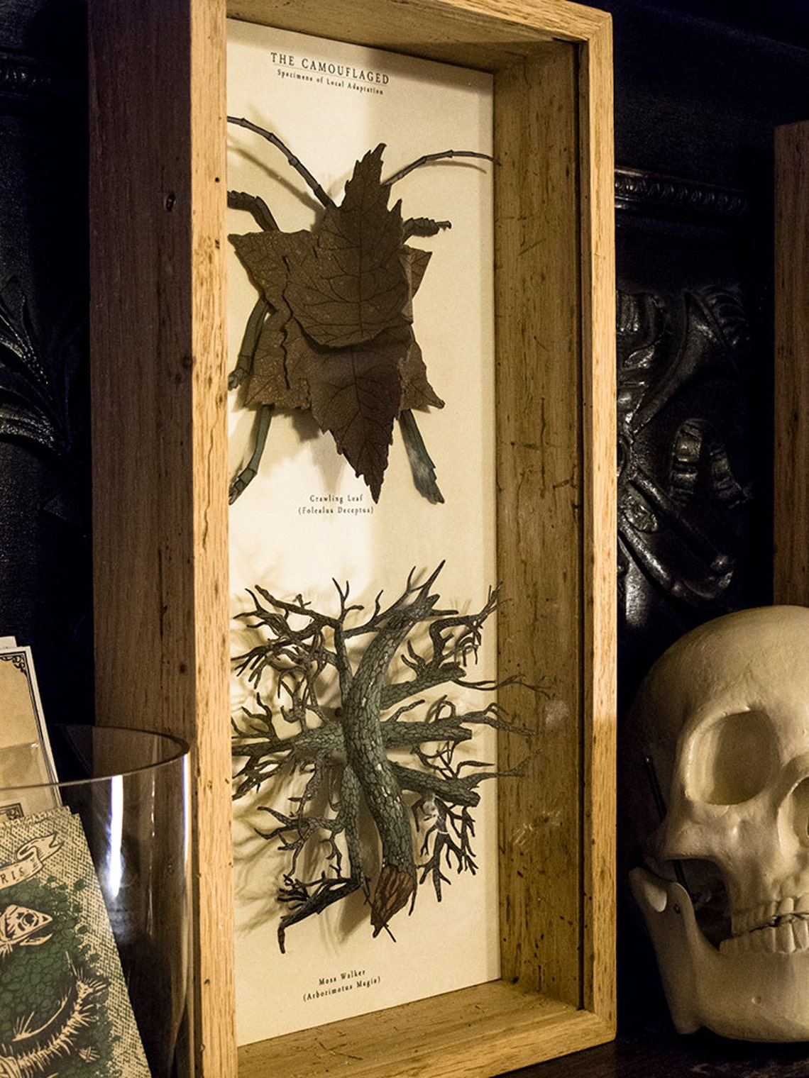 The Camouflaged - Insect Shadow Box - Screen Printed Sculptures - Etsy