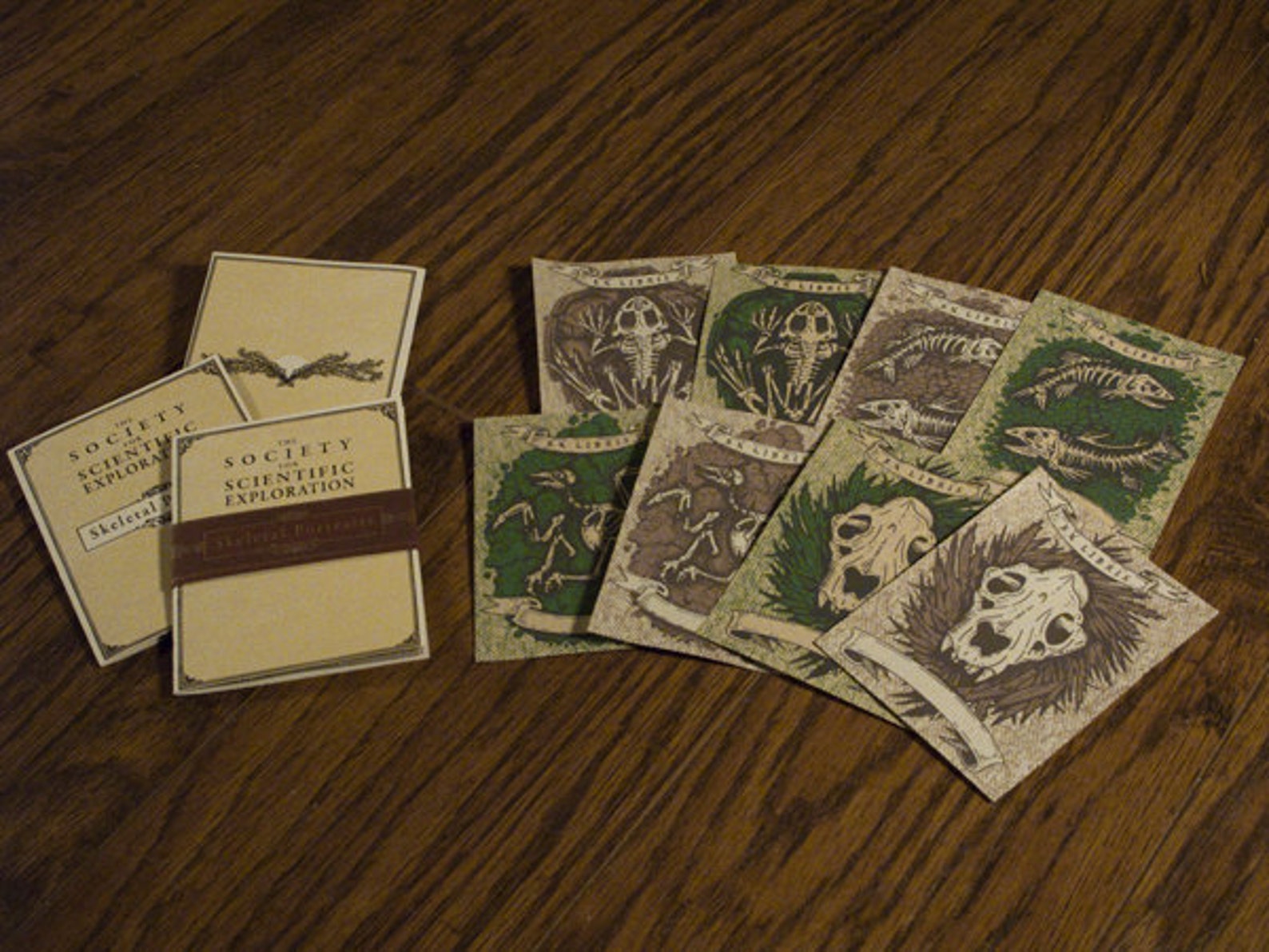 Animal Bookplates - Set of 8 - Screen Printed - Society for Scientific ...