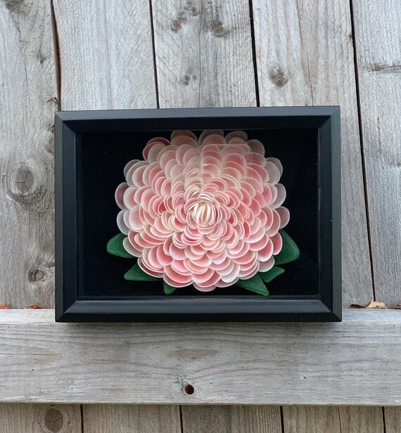 Seashell Flower Shadow Box pink Rose Cup Shells | Etsy