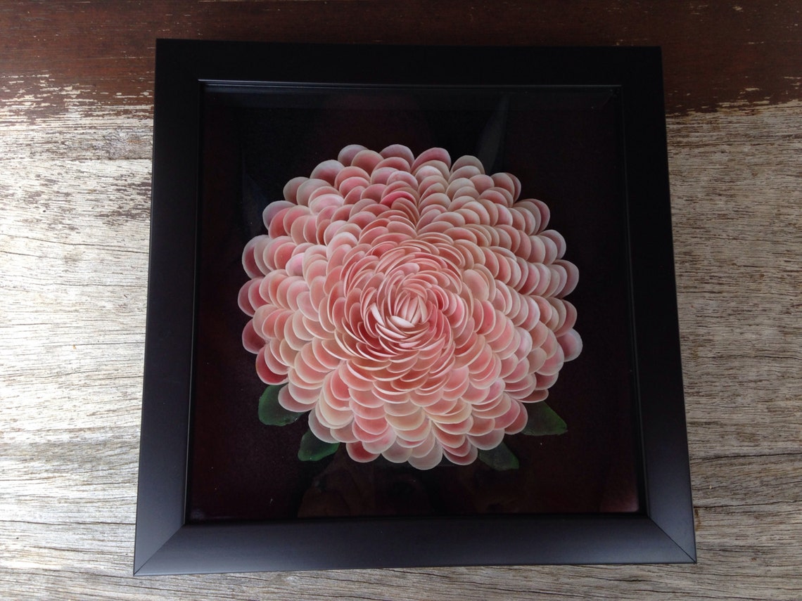 Pink Rose Cup Seashell Flower Shadow Box (LARGE) - Etsy