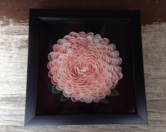 Seashell Flower Shadow Box pink Rose Cup Shells | Etsy