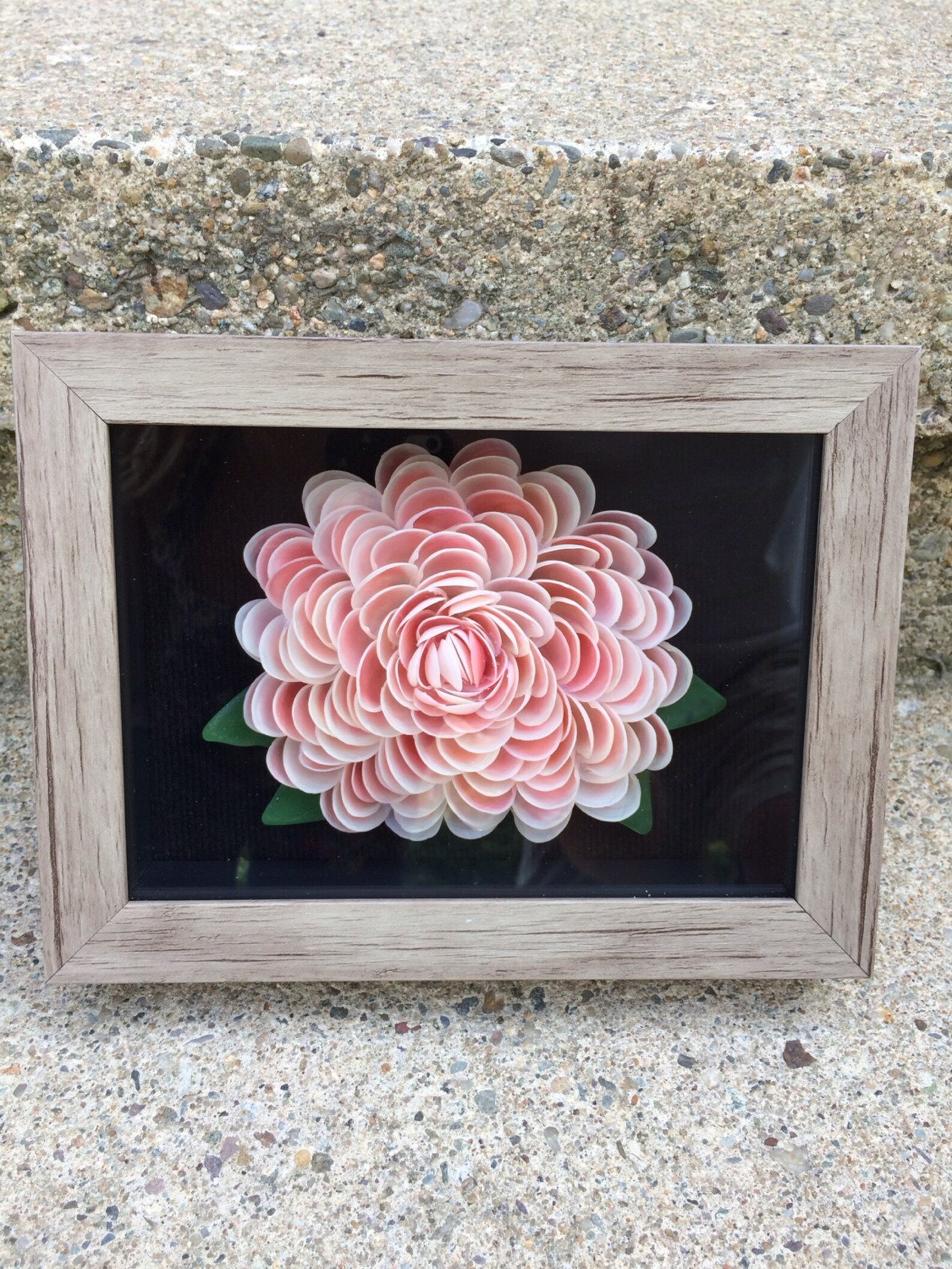 Seashell Flower Shadow Box pink Rose Cup Shells - Etsy