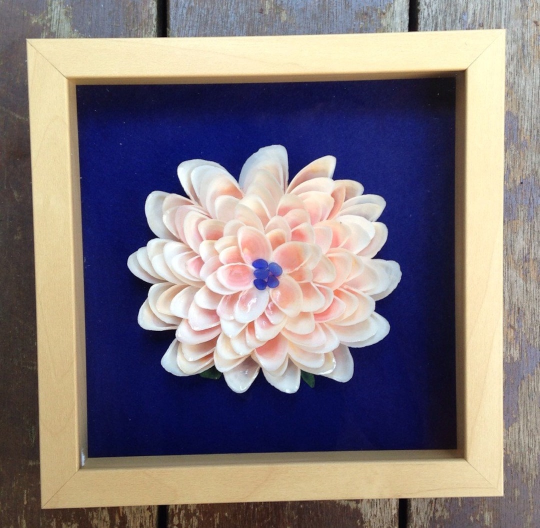 Pink Tellin Seashell Flower Shadow Box (LARGE) - Etsy