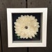 Seashell Flower Shadow Box (white Cay Cay Seashells) - Etsy