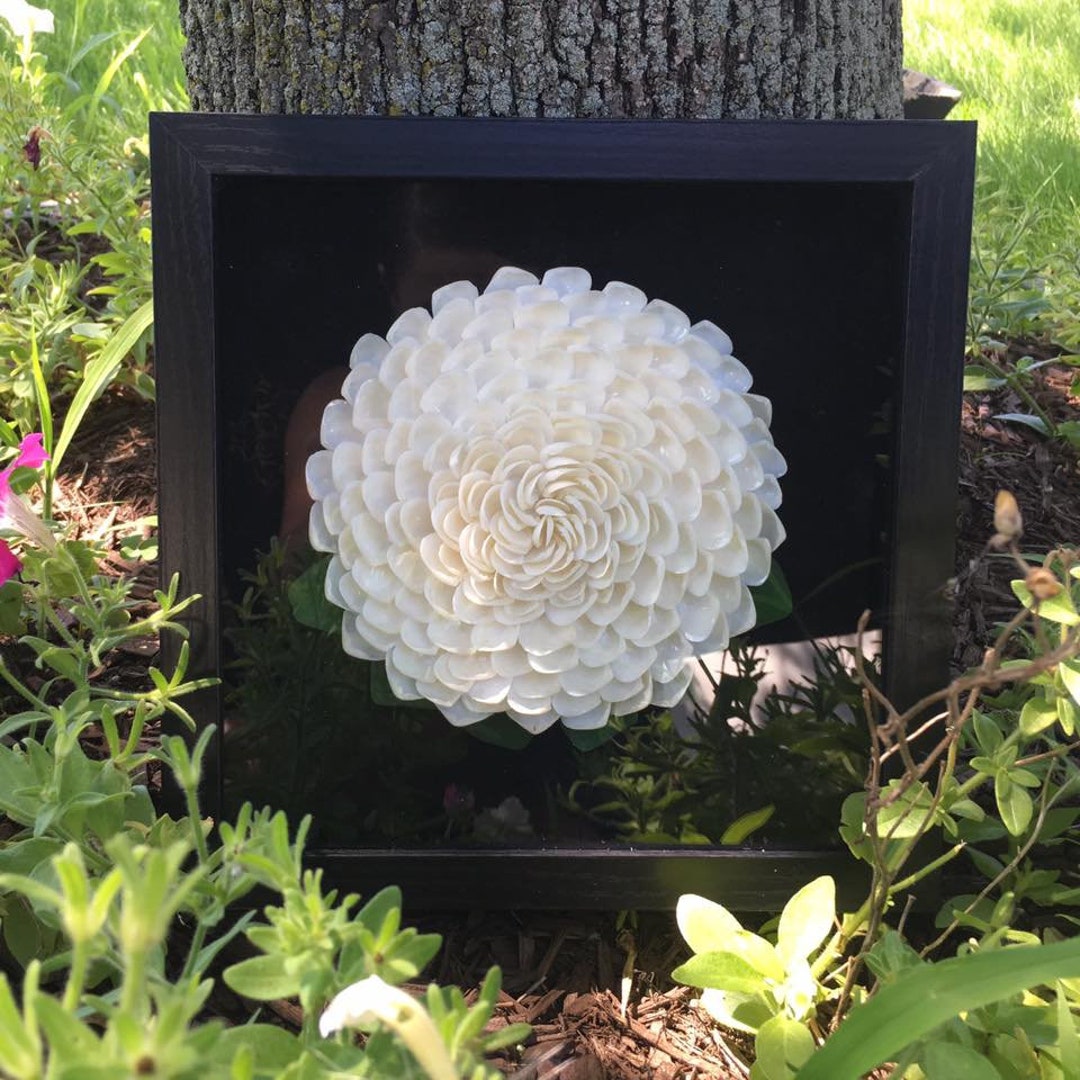 White Cay Cay Seashell Flower Shadow Box (LARGE) - Etsy