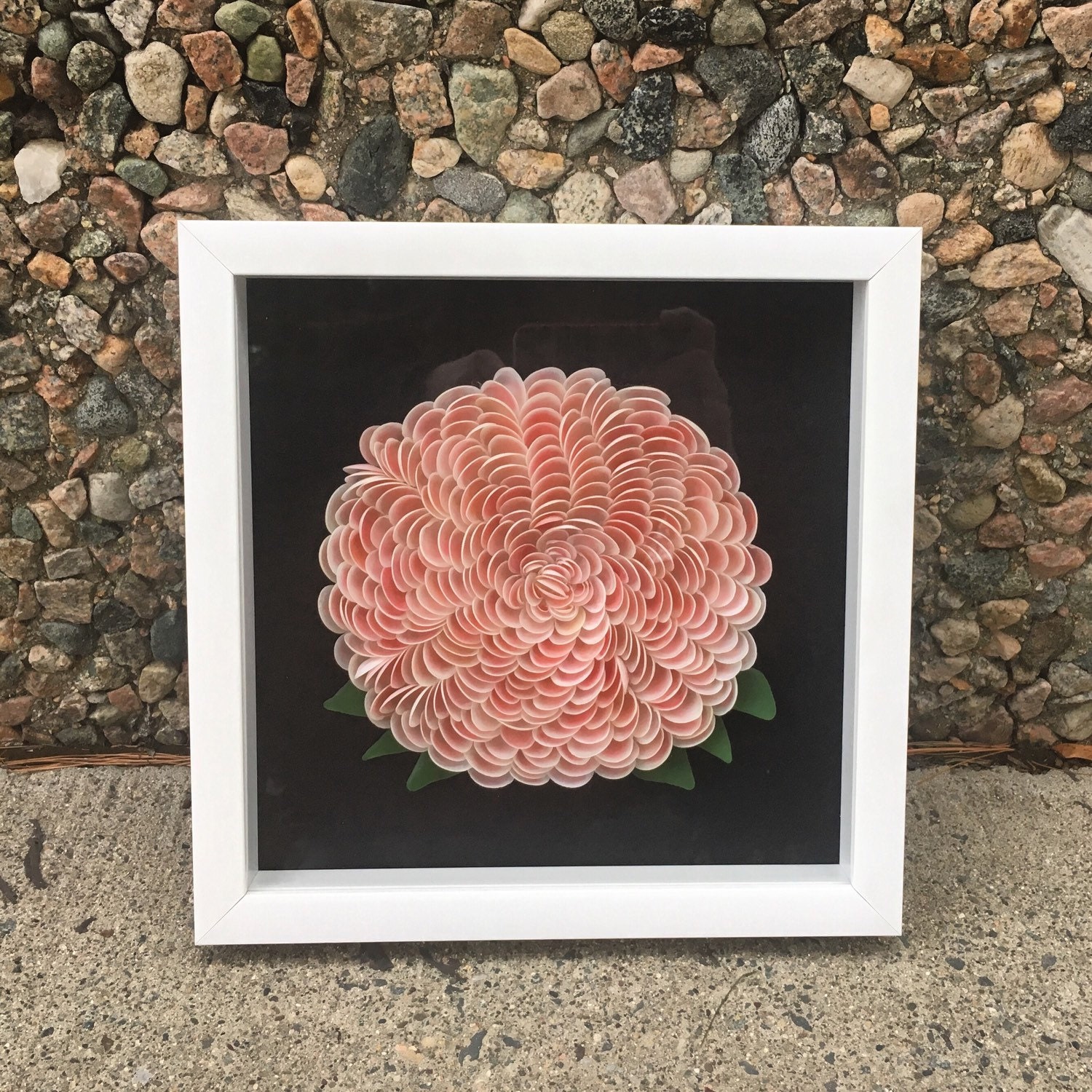 Pink Rose Cup Seashell Flower Shadow Box (LARGE) - Etsy