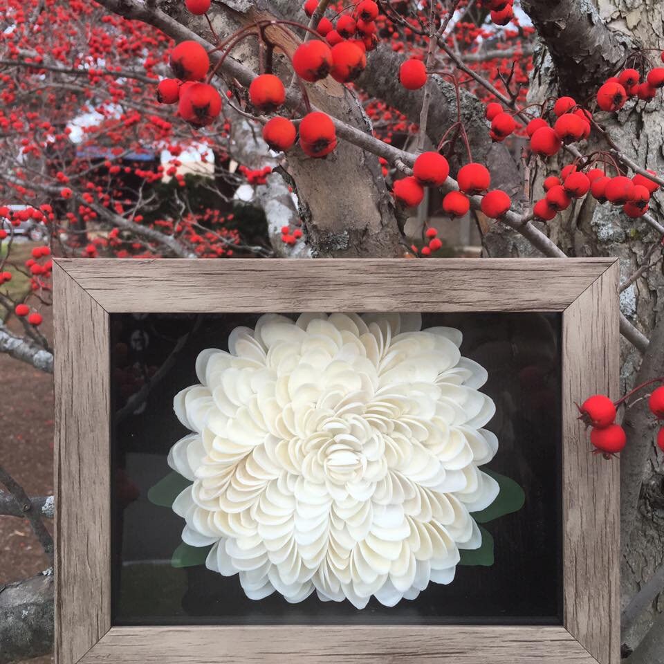 Seashell Flower Shadow Box white Cay Cay Seashells - Etsy